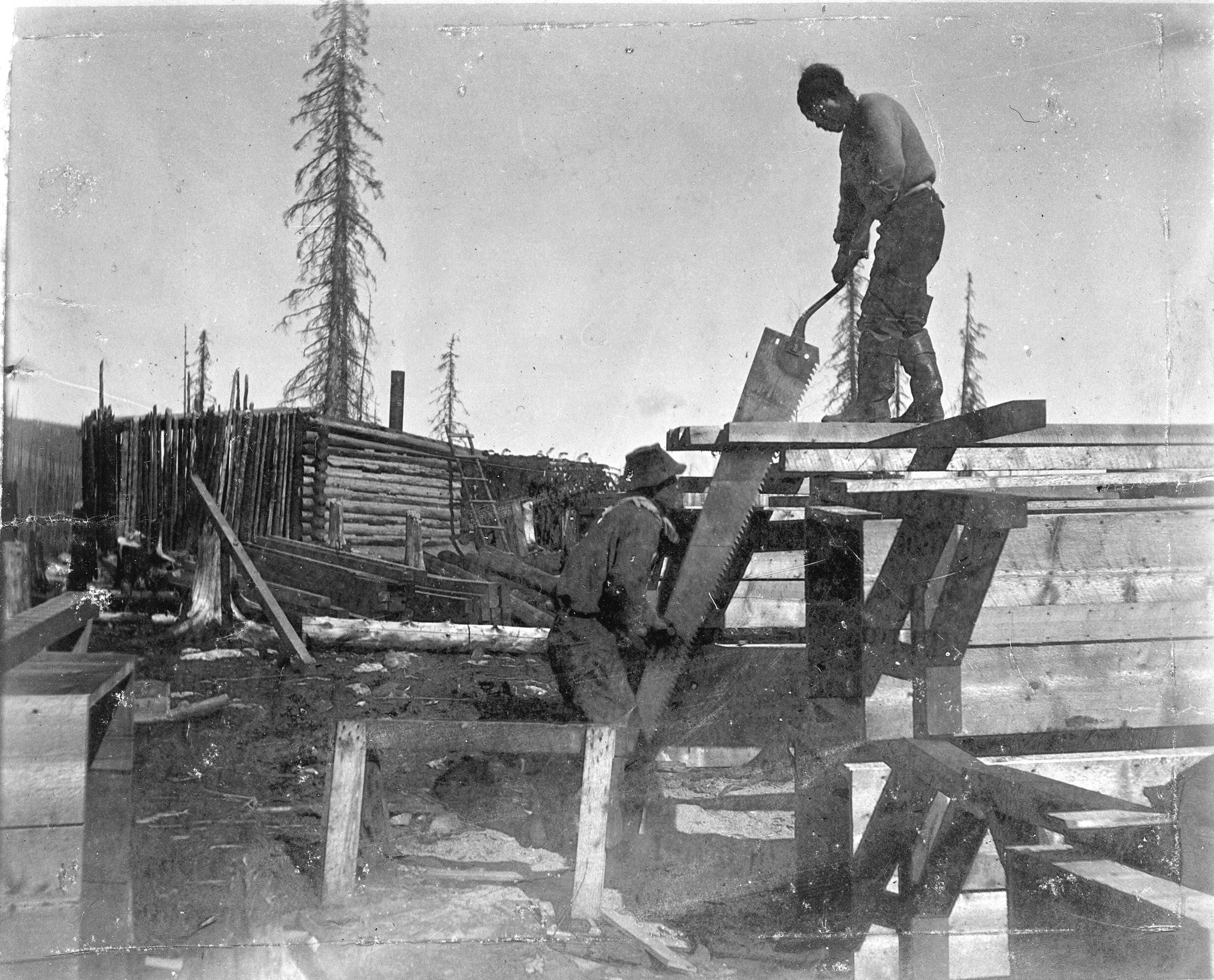 Circular Saw - Pengertian, Jenis, dan Fitur Penting pada Circular Saw ...